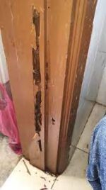 how to get rid of termites in door frames? - Tarkhan Door